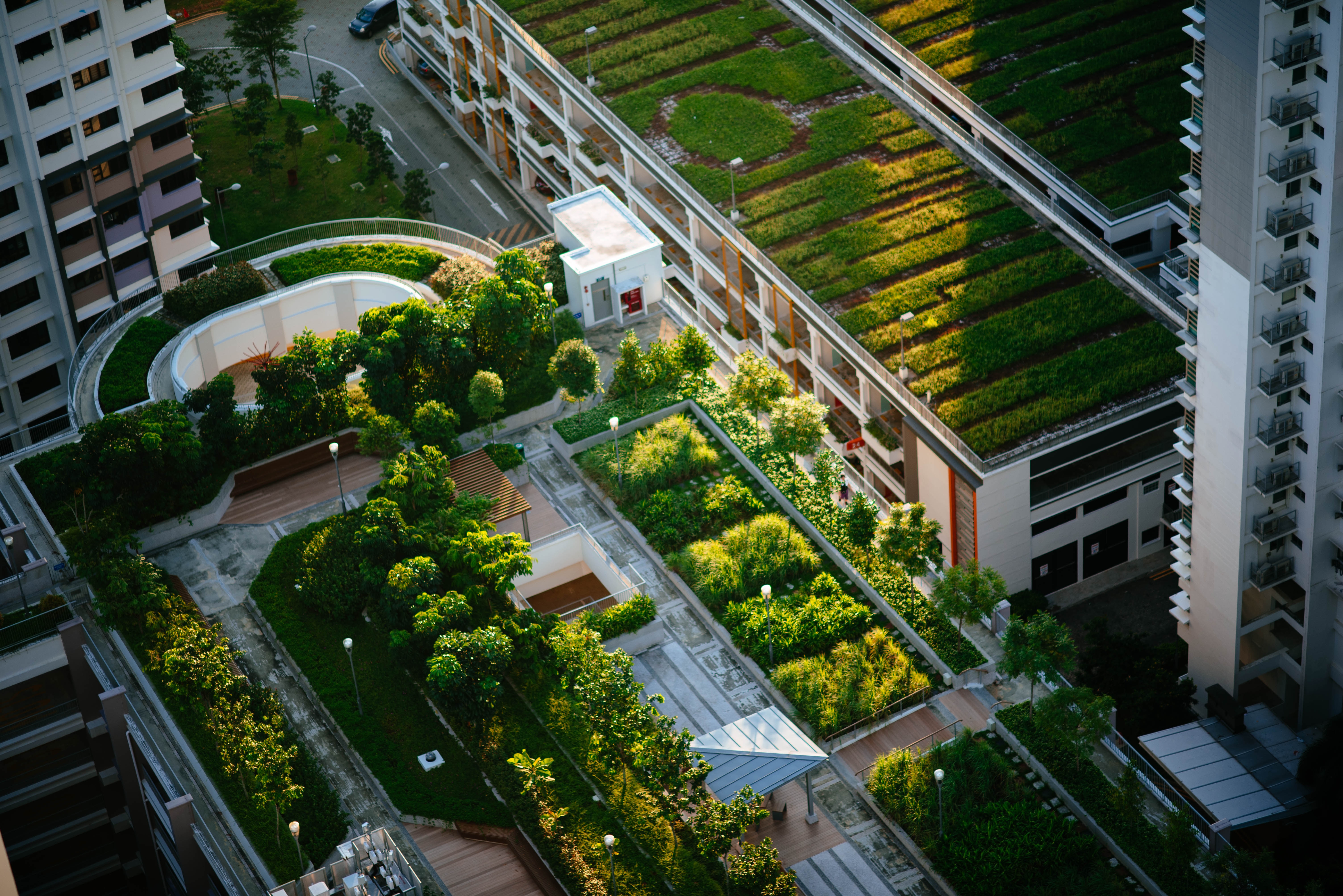 The realistic sustainability trends for 2024